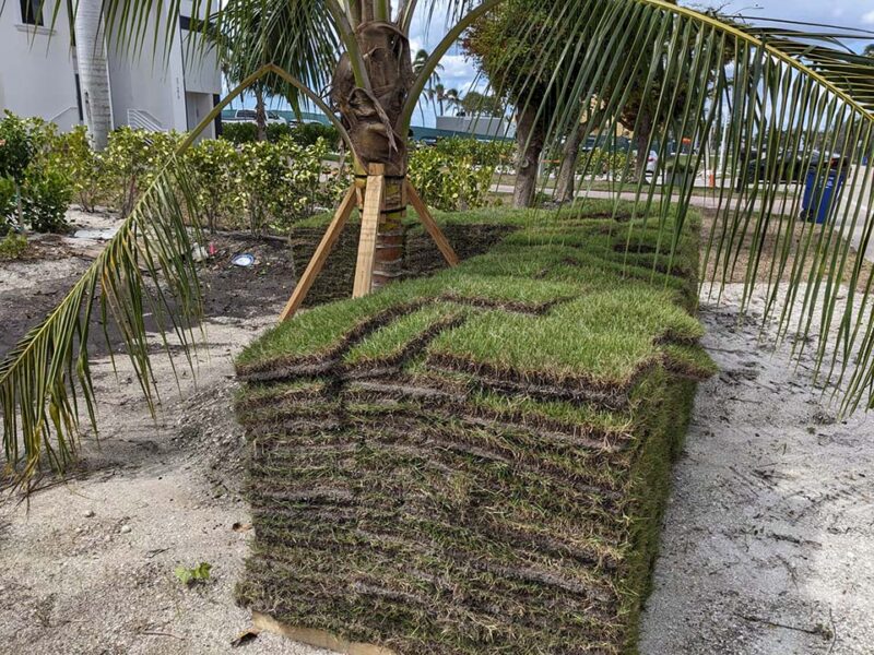 Residential Sod Installation in Florida | Get a FREE Sod Quote