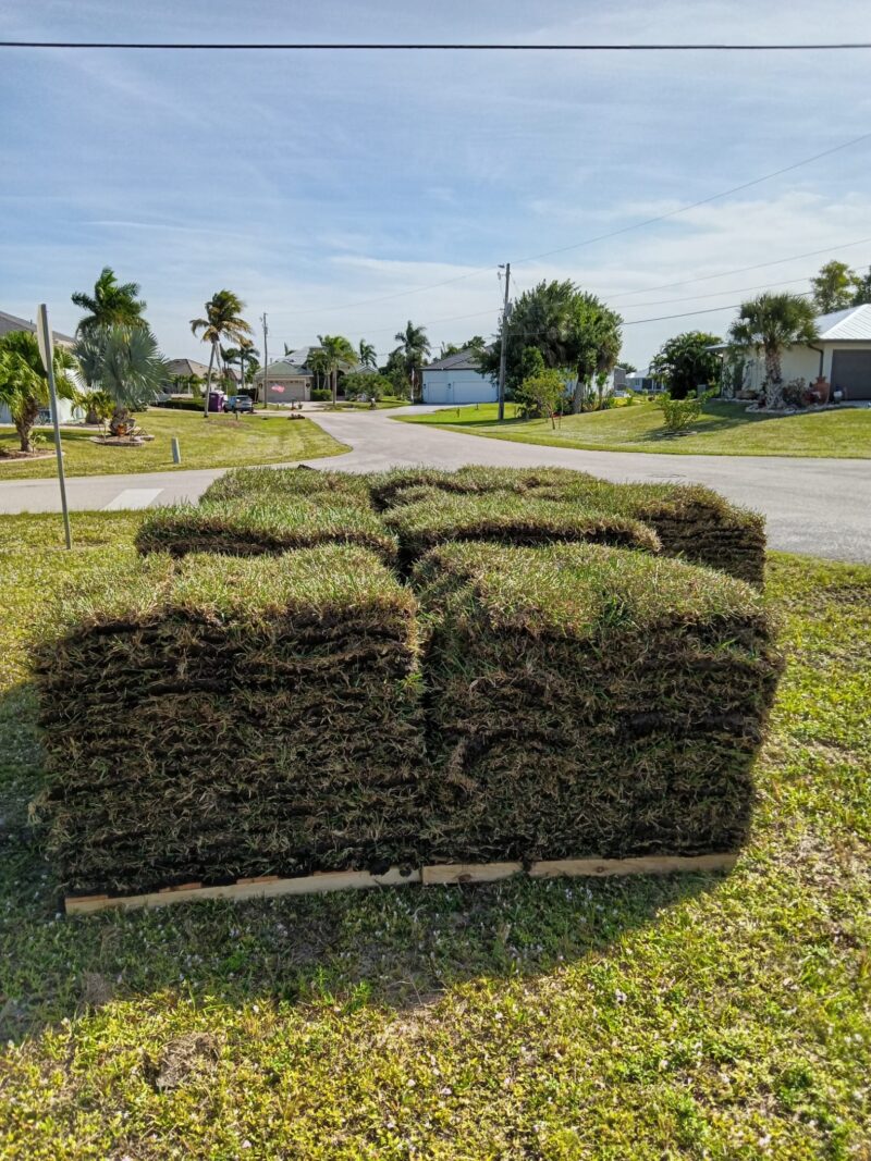 Identifying Different Types of Sod | Sunshine Sod