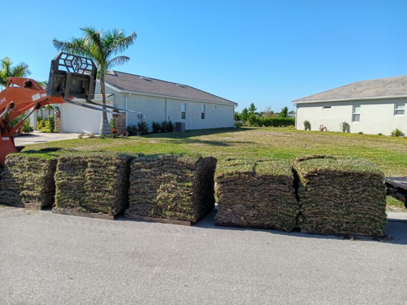 Choosing The Right Type of Sod For Your Florida Yard