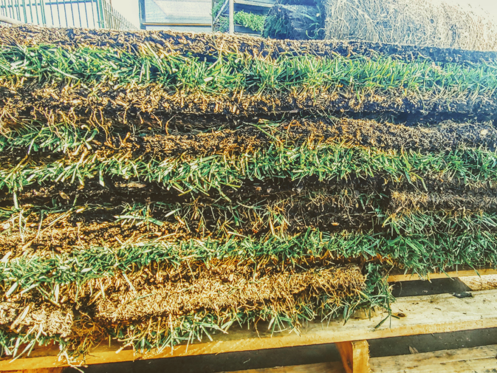 Ordering a Pallet of Sod Without Overbuying or Wasting Material